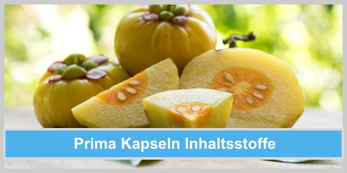 Prima Kapseln im Härtetest → Erfahrungen & Preisvergleich »2022«