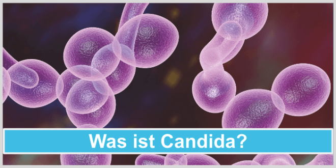 Was genau ist Candida eigentlich? - Alle Fakten in unserem Ratgeber!